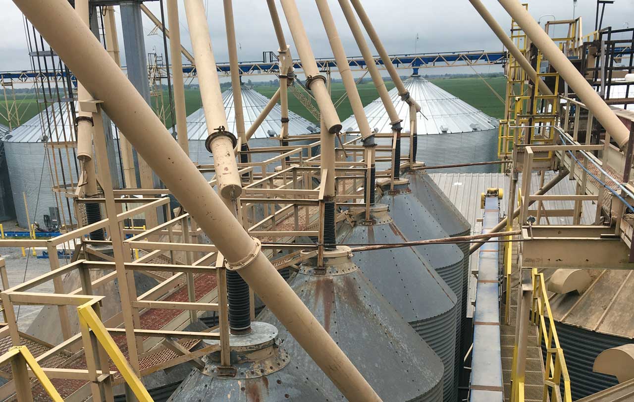 Home - Riverside Rice